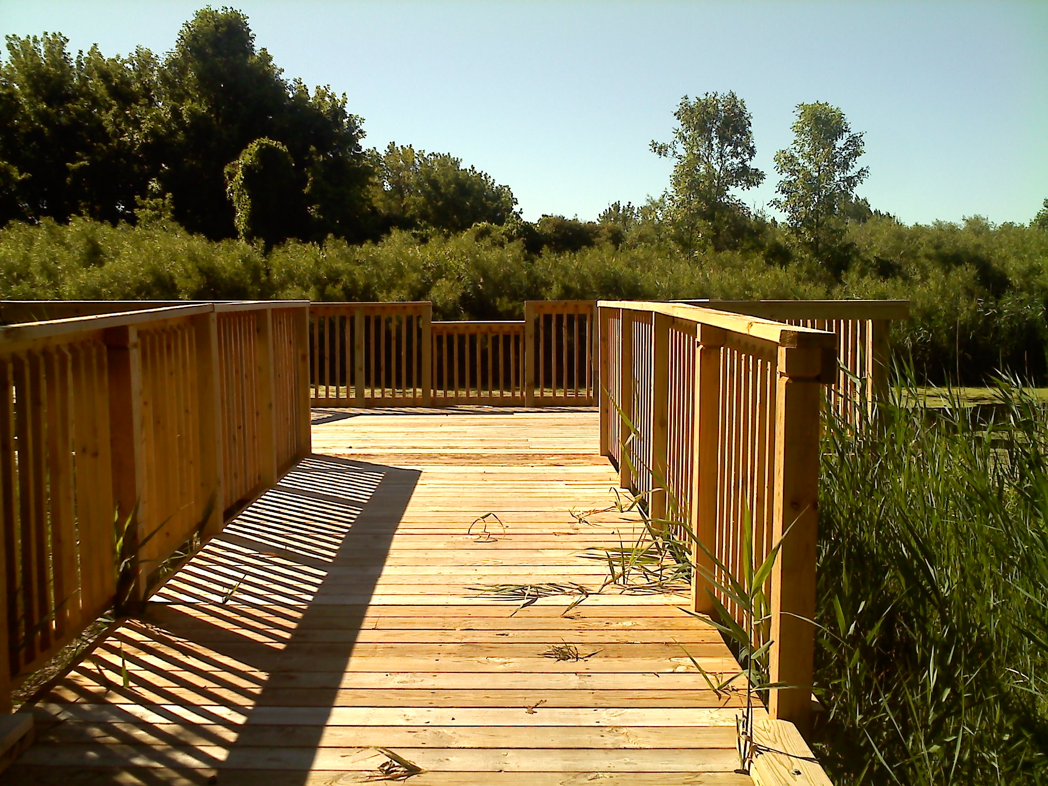 Pinconning Park Expansion